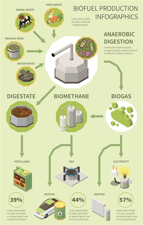 Biodiesel Production