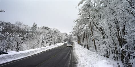 눈 덮힌 한라산 차 없어도 Ok 대표 설경 명소 안내하는 한라눈꽃버스 여행한조각