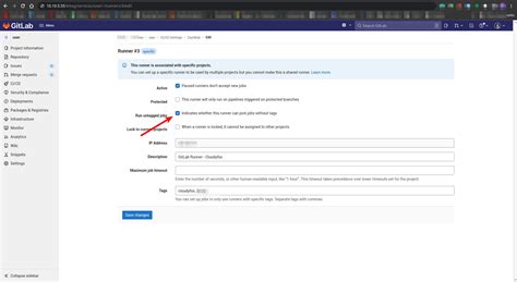 setup on premise gitlab server runner ci cd and nginx configuration