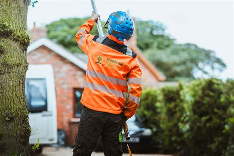 How To Deal With Tree Storm Damage Before During After A Storm