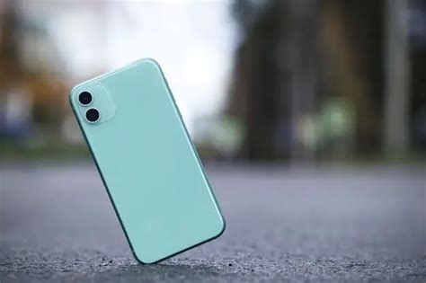 Can I Recover Trashed Photos On IPhone Darwin S Data