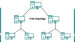 Tree Topology Definition Types Advantages And Disadvantages