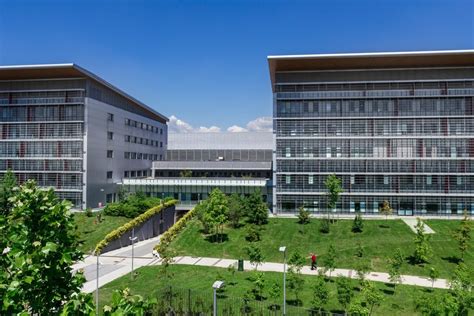 Ithy Unlock Dual Benefits How Greener Healthcare Practices Enhance Delivery And Ease System