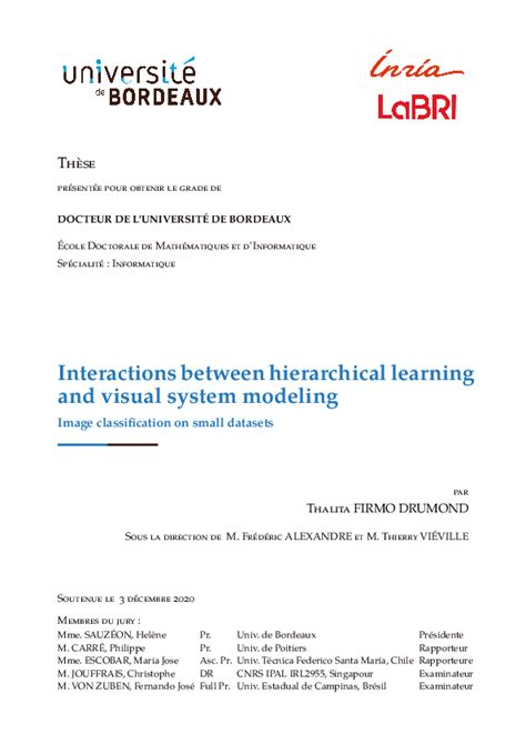 Interactions Between Hierarchical Learning And Visual System Modeling Image Classification On