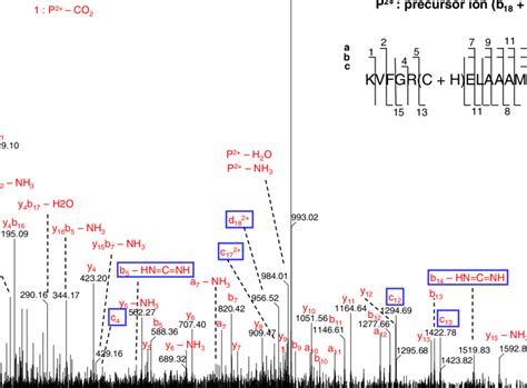 Pseudo Ms 3 Spectra Of B 18 H 2 Ion At The Cone Voltage Of 100 V