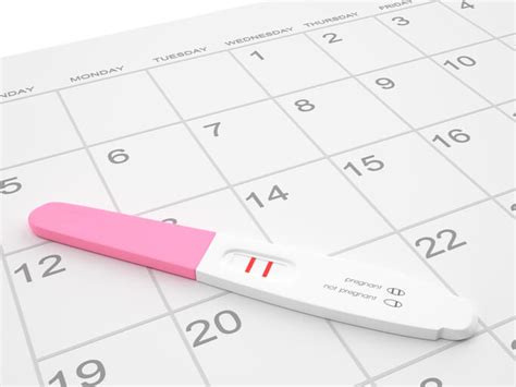 What To Expect When Testing For A Surrogate Pregnancy American Surrogacy Blog