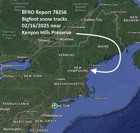 Bfror Sasquatch Chronicles