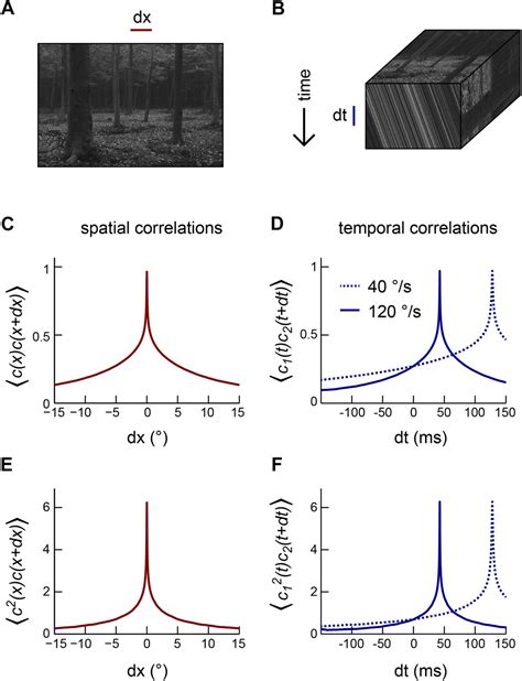 Figures And Data In Nonlinear Circuits For Naturalistic Visual Motion Estimation ELife