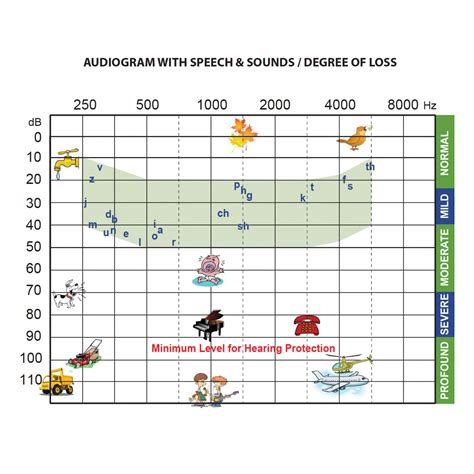 Understanding Your Audiogram How To Read Your Hearing Assessment