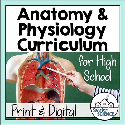 Full Year Anatomy And Physiology Curriculum Suburban Science