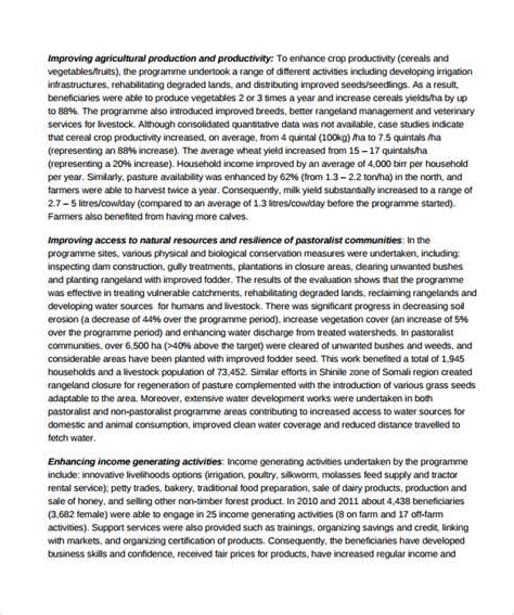 Program Evaluation Report Template