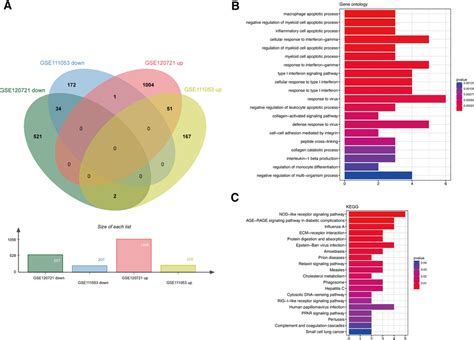 Functional Annotation And Enrichment Analyses Reveal Pathways Involved