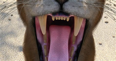 Mawshot Am Lioness Mawshot B Werewolfczのイラスト Pixiv