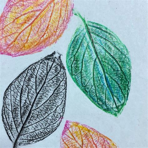 Leaf Rubbing Eiteljorg Education Hub