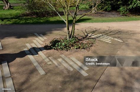 길을 따라 차선에 콘크리트 타일을 사용하는 공원의 도로 교차점 디자인 베이지 색 조경 수풀과 사각형을 평행하게 밟습니다 잔디밭 주변 0명에 대한 스톡 사진 및 기타 이미지
