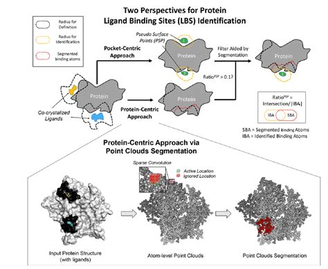 jcim pointsite 点云 在蛋白结合位点预测方面的应用 3d u net 基于体素的蛋白质结构结合位点预测方法 csdn博客