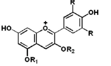 The Basic Structure Of Anthocyanin Download Scientific Diagram