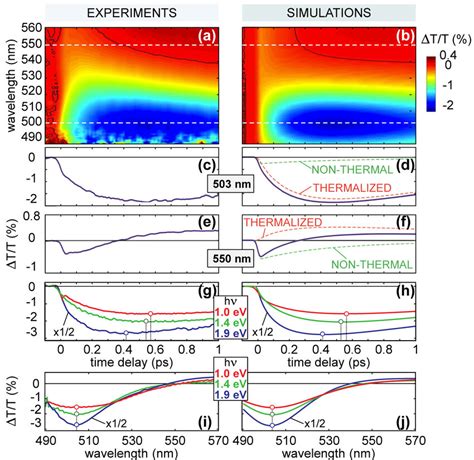 Ultrafast Dynamics Of Hot Electrons In Au Thin Films Af Δtt Maps
