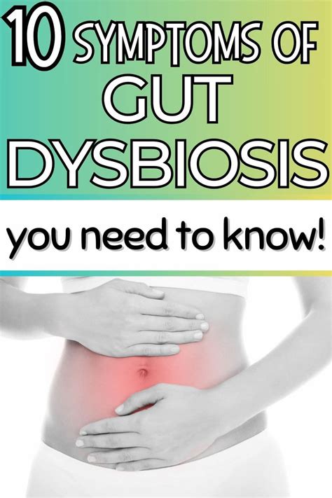 Navigating Gut Health Recognizing And Addressing 10 Gut Dysbiosis