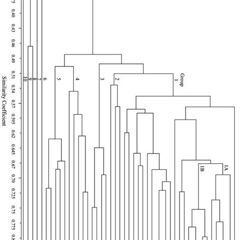 Figure Upgma Dendrogram Constructed From The Smssr Data Using The