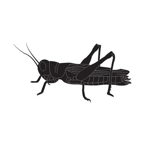 Grasshopper Icon Design 46597221 Vector Art At Vecteezy