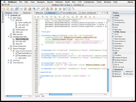 Screenshots Of The Netbeans Ide In Action