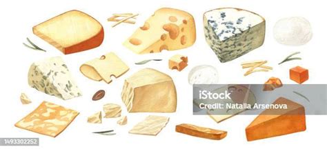수채화 다른 종류의 치즈와 잘린 조각 우유 유제품 하얀 배경에 분리된 맛있는 음식 손으로 그린 그림 메뉴 레시피 라벨 포장