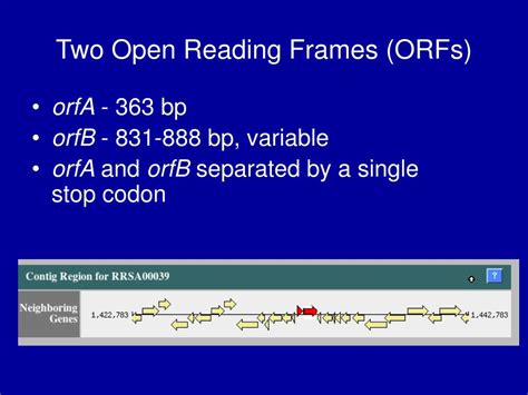 Ppt Genomics Of Is 994 Transposase Genes In Renibacterium Salmoninarum Powerpoint