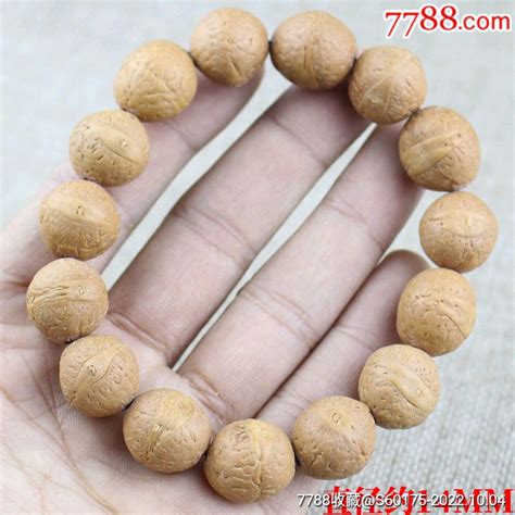尼泊尔凤眼菩提 约14MM 7788收藏
