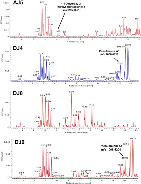 Lc Ms Ms Chromatogram Of Four Active Extracts Derived From Endophytic Download Scientific