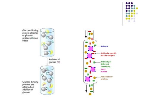 Partition Chromatography 3 Ppt