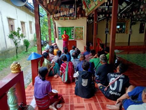 ရှမ်းရွာသစ်မြို့ မဲသမူးကျေးရွာအုပ်စု၌ ရေကြီးပြီးနောက် ရေပြန်ကျချိန်တွင် ကျရောက်တတ်သော ပိုးမ