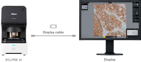 Eclipse Ui Digital Microscopes Microscope Products Nikon Instruments Inc