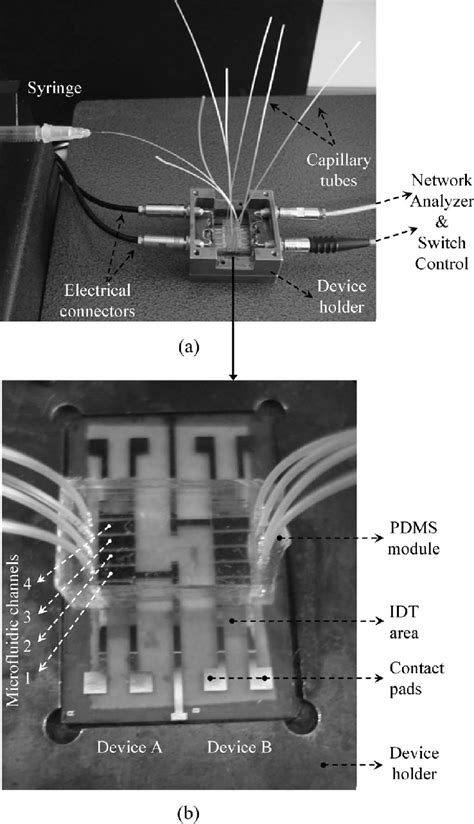 A Experimental Setup B Close Up Image Of The Sensor Chip With The Download Scientific