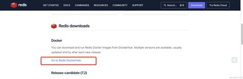 《三》如何查看一个 docker 镜像有哪些版本如何查看一个 docker 镜像有哪些版本 因为通过 docker se 掘金