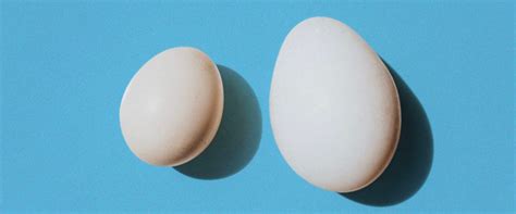 What Happens If One Testicle Is Larger Than The Other