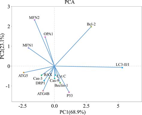 Functional Interactions Network Linking The Significantly Download