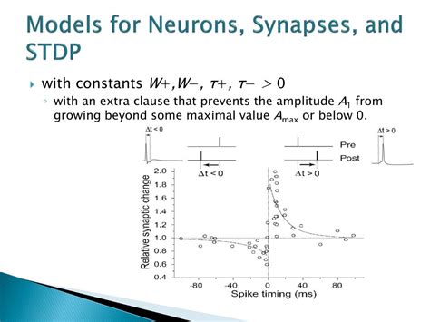 ppt stdp spike timing dependent plasticity powerpoint presentation