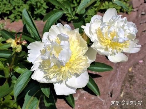老人过世三七怎么准备子孙要记住这6大禁忌 知乎