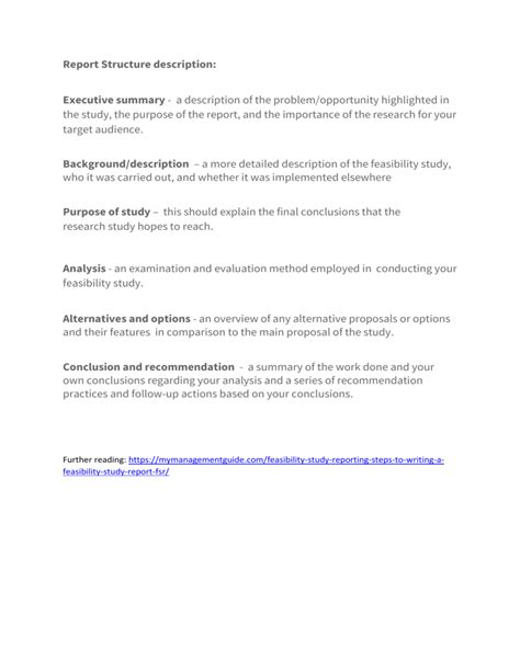 Feasibility Study Report Structure