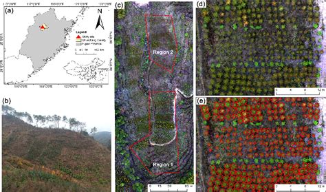 Figure 1 From Comparison Of Classical Methods And Mask R Cnn For Automatic Tree Detection And