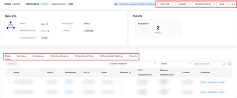 Managing A Workloaduser Guidecluster Federationworkloadsubiquitous