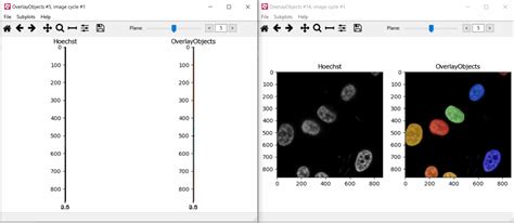 loading cellpose 3d masks into cellprofiler usage and issues image sc