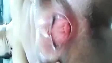 Awek Cipap Tembam Xhamster