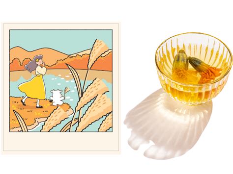 포근한 꽃차와 함께 향기로운 힐링여행을 떠나요 텀블벅 크리에이터를 위한 크라우드펀딩