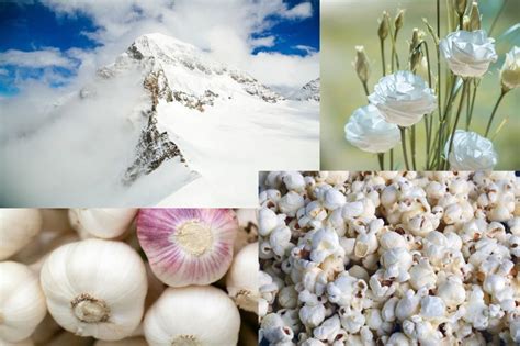 Meaning And Symbolism Of The Color White Meet Your Colors Magazine