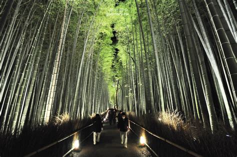 京都旅行提案｜我的嵐山一日遊・漫遊桂川、渡月橋的愜意之旅（嵐山景點、交通資訊） 許傑旅行圖中
