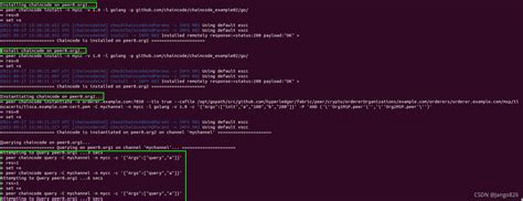 Fabric14xerrorendorser And Orderer Connections Initialized Error Csdn博客