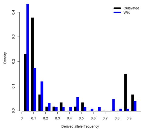 Derived Allele Frequency Spectra For Cultivated Foxtail Millet And Wild