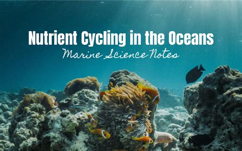 Nutrient Cycling In The Oceans Nutrient Cycling In The Oceans Marine Science Notes